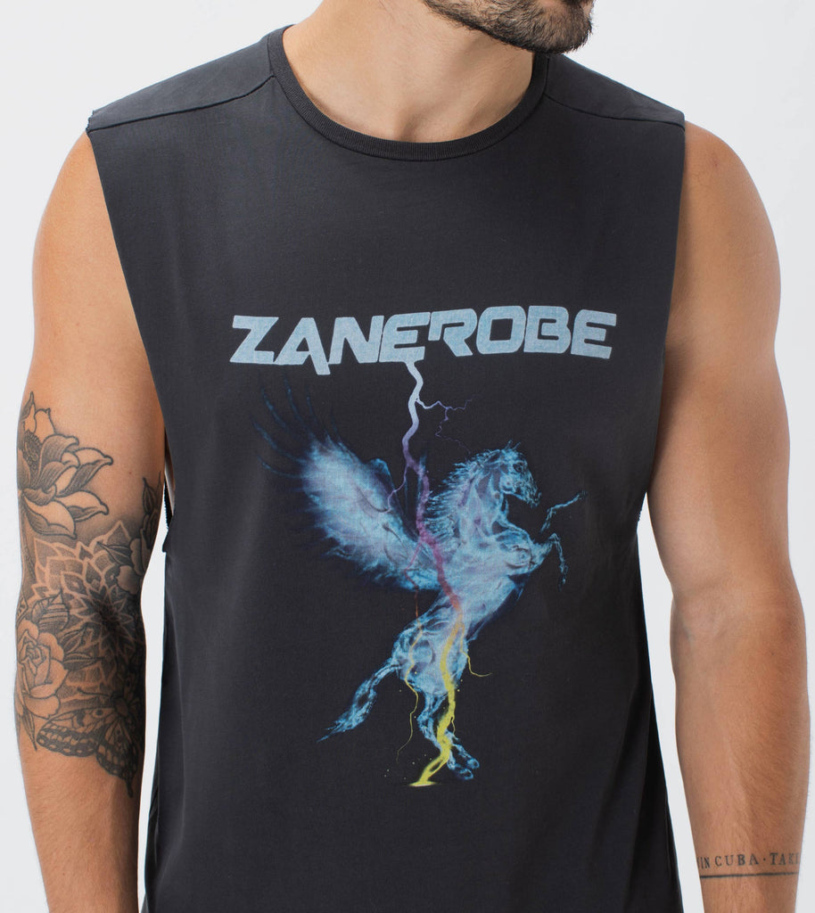 Pegasus Box Muscle GD Black – ZANEROBE